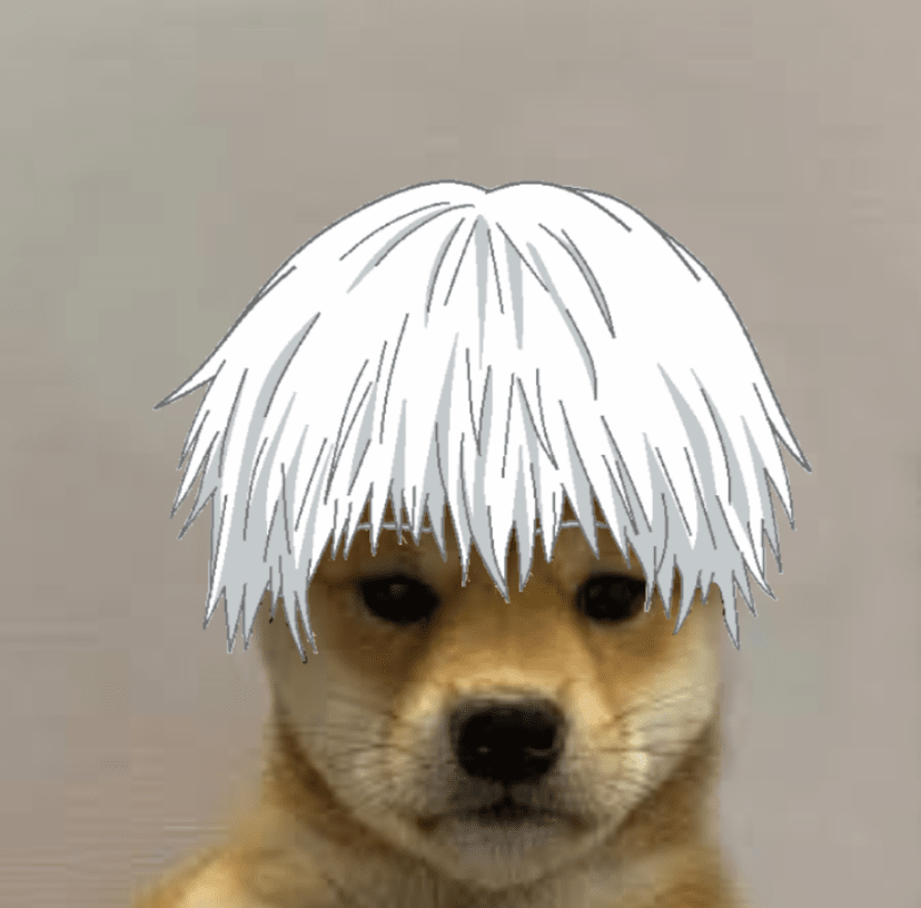 Aqueles que multiplicaram o Dogecoin e os memes em mais de c | 币圈大太子 ...