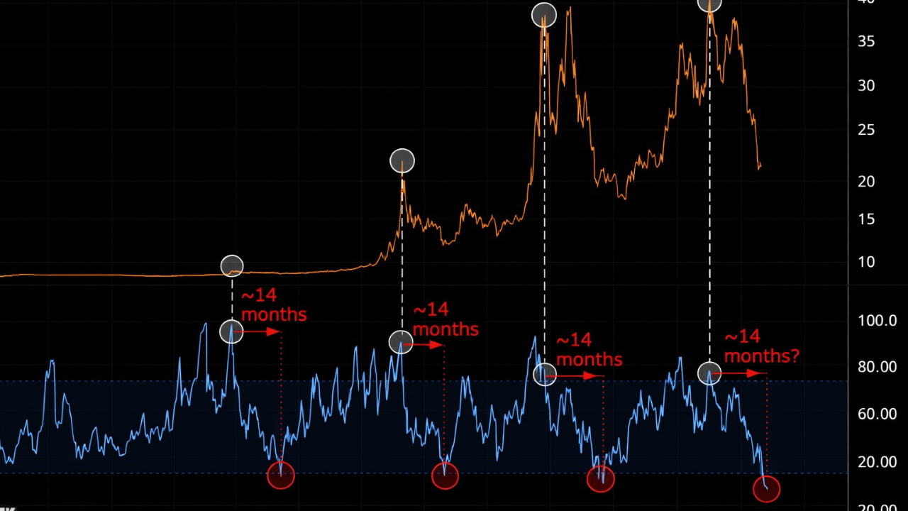 Biểu đồ đáng để nhìn lúc này không phải BTC/USD, mà là BTC so với vàng ...