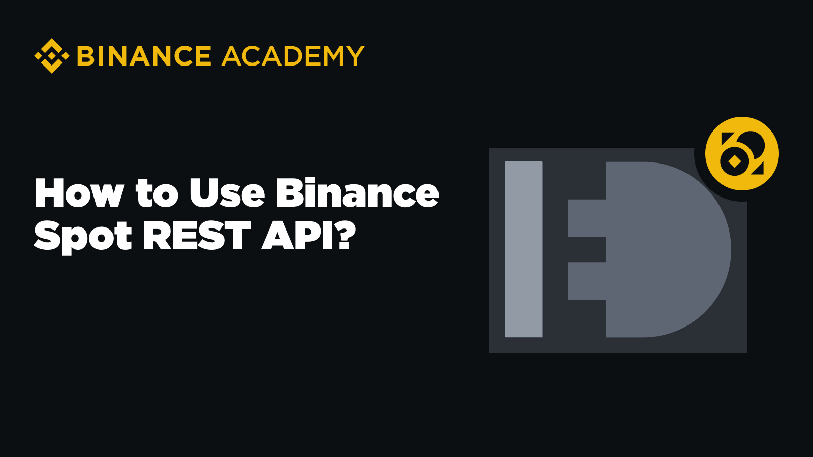How to Use Binance Spot REST API?