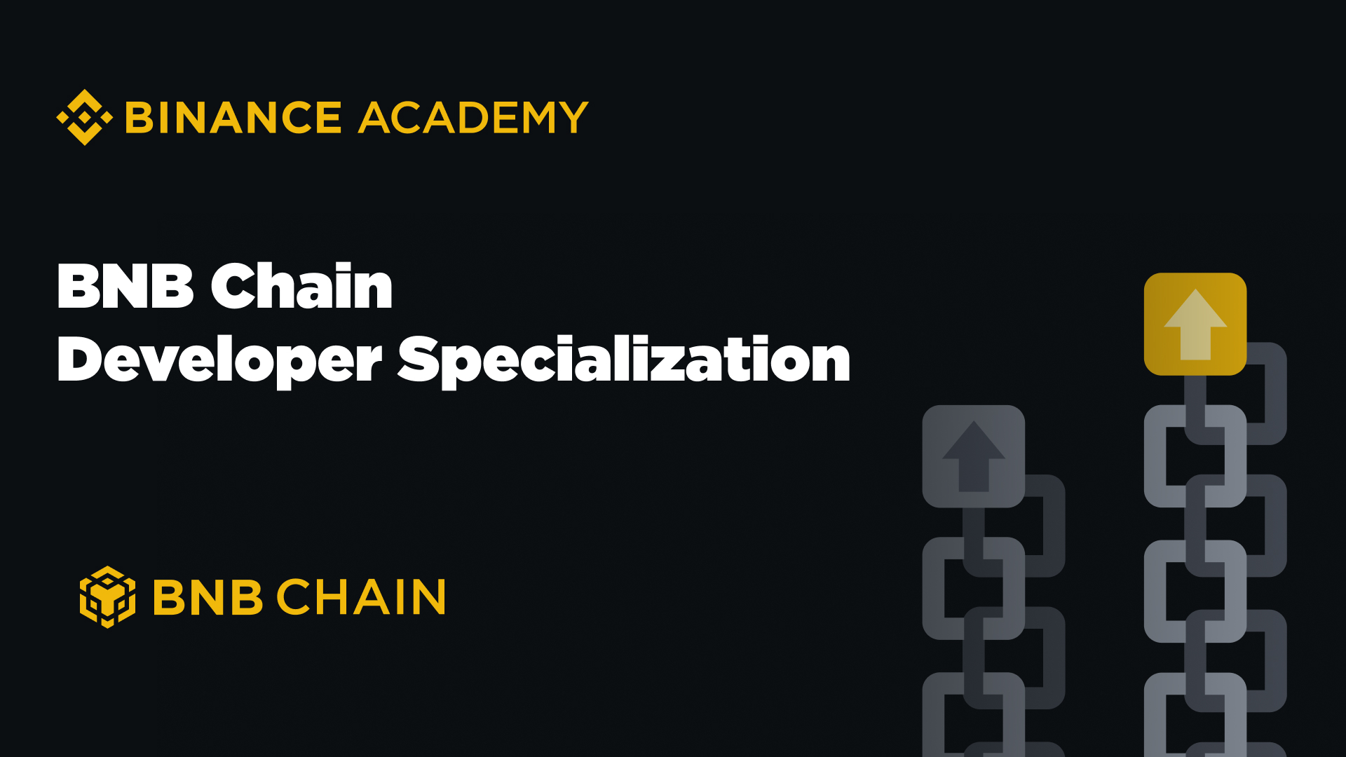 How does BNB Chain work?