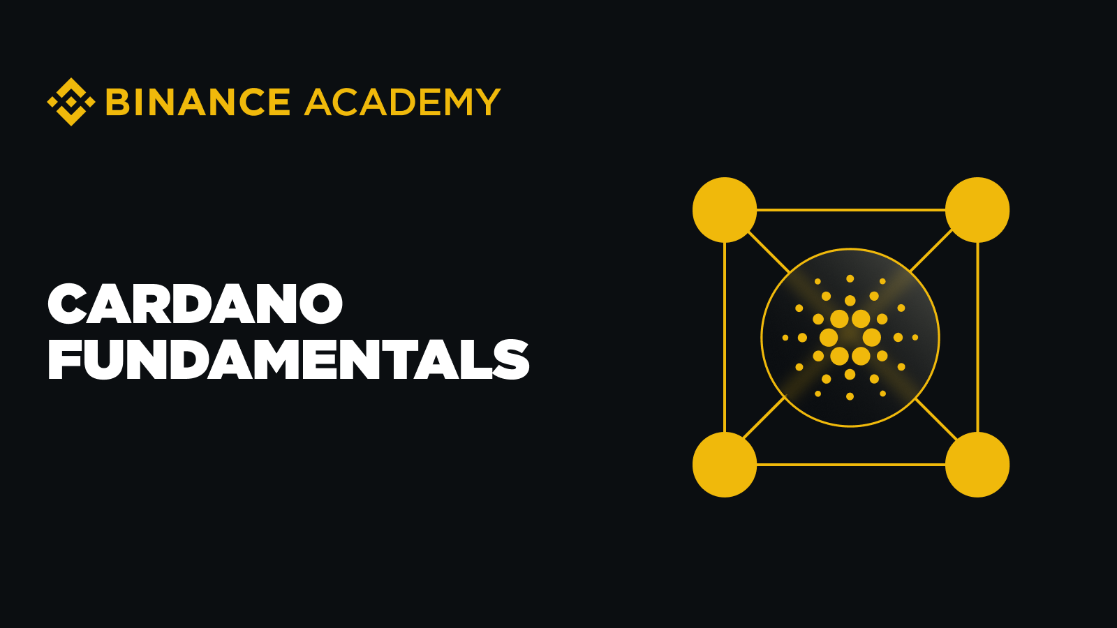 Closing Message From Our CEO