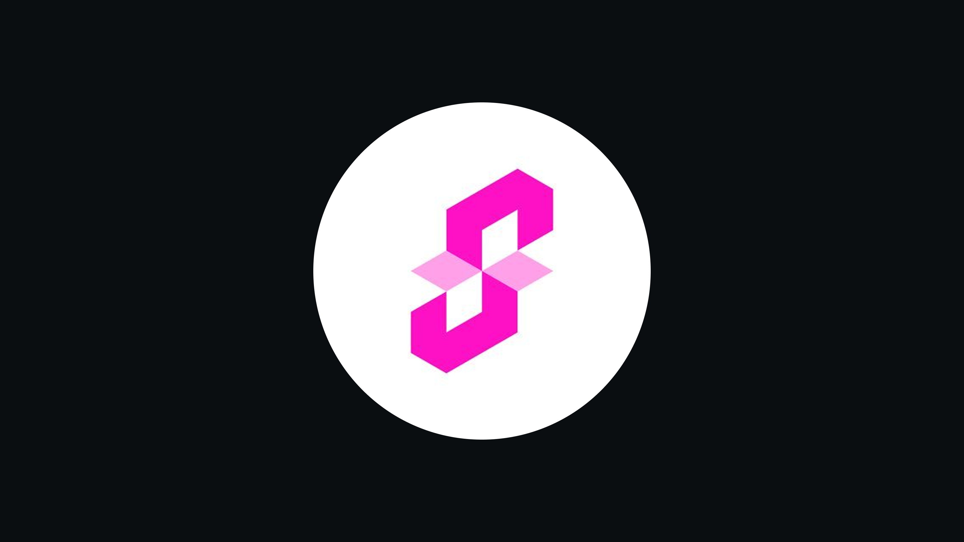 What Is Succinct (PROVE)?