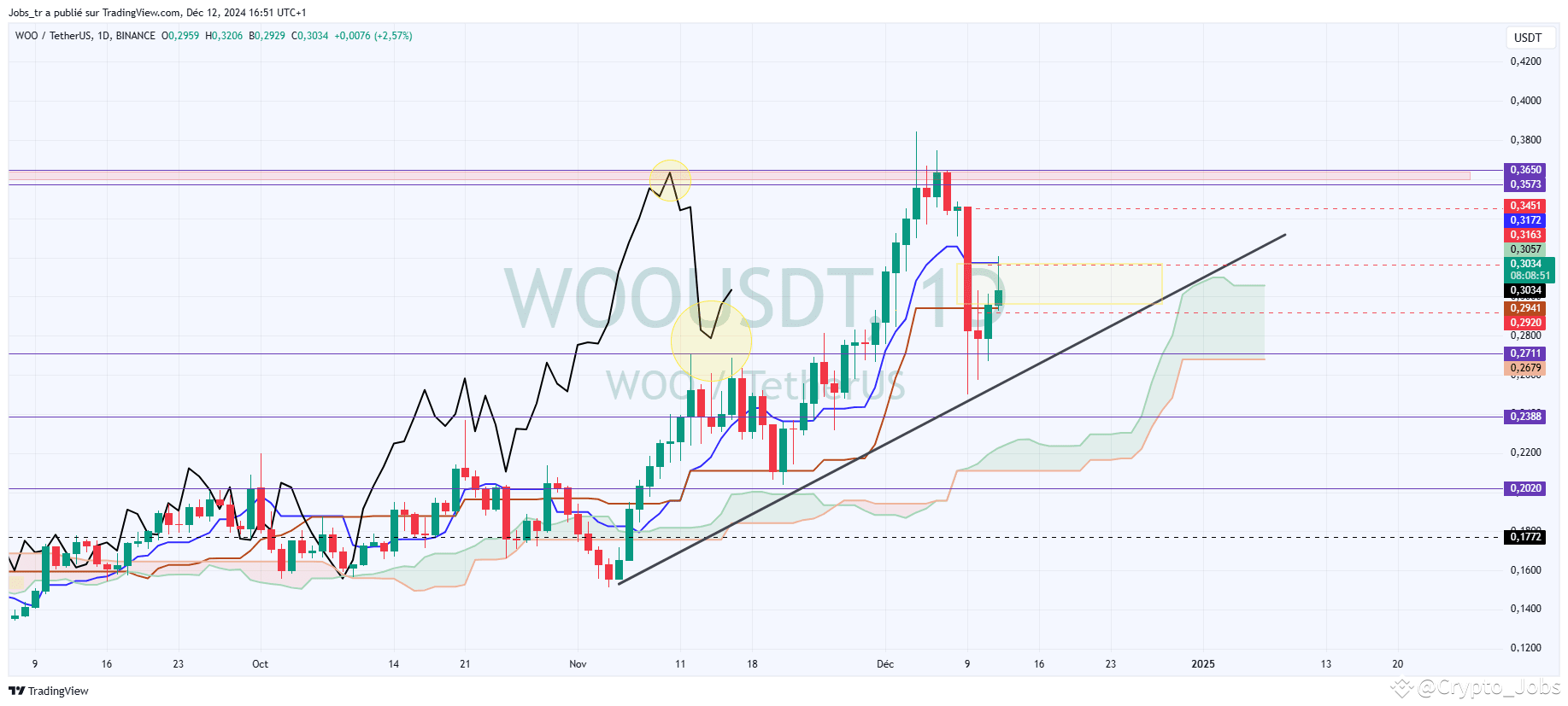 $WOO - Chart analysis: Neutral zone daily: 0.3180 - 0.29 | Crypto_Jobs ...