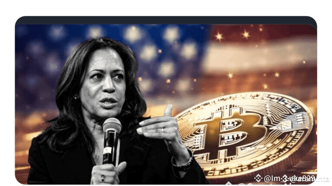 Kamala Harris Unveils Crypto-Friendly Initiative to Boost Black ...