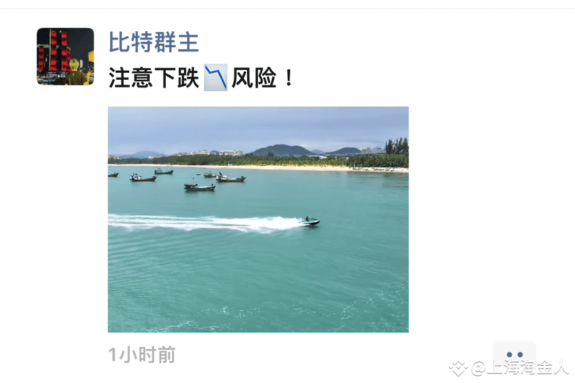 $WIF I discovered a pattern: when this coin drops significa | 上海淘金人 on ...