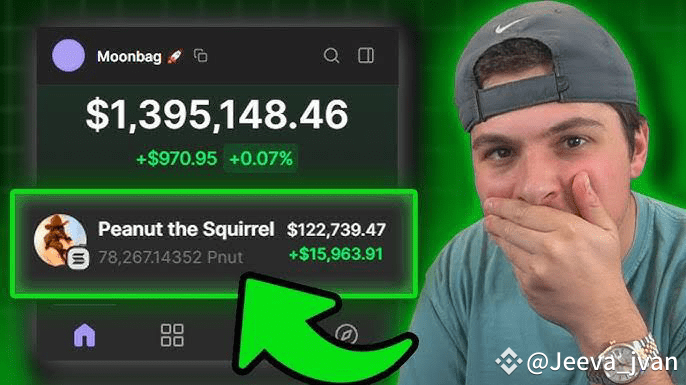 Peanut (Pnut) Coin: The Next SHIB in the Making? | Jeeva_jvan on ...