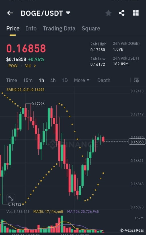🔥 $DOGE /USDT – Bearish Setup? Short Opportunity Below $0.1 | Eliza Ross on Binance Square