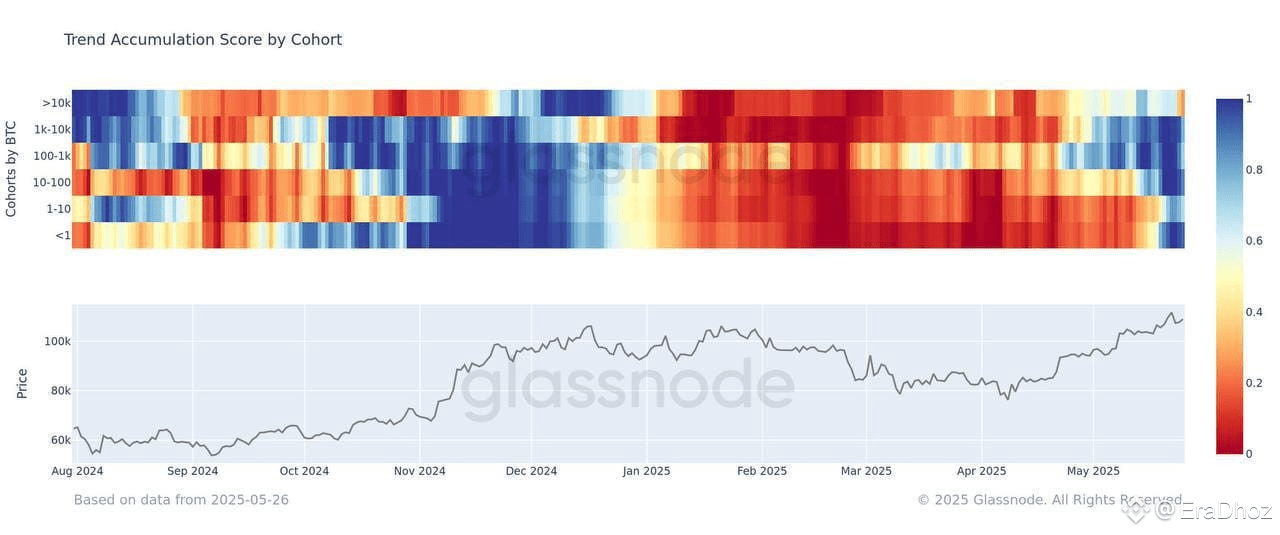 "Trend Accumulation Score by Cohort" from Glassnode, which | CapitaL_MZ1 on Binance Square