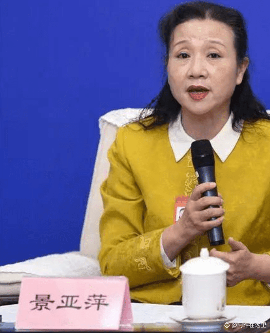 It is rumored that Jing Yaping, the former director of the G | 阿斗在这里 on ...