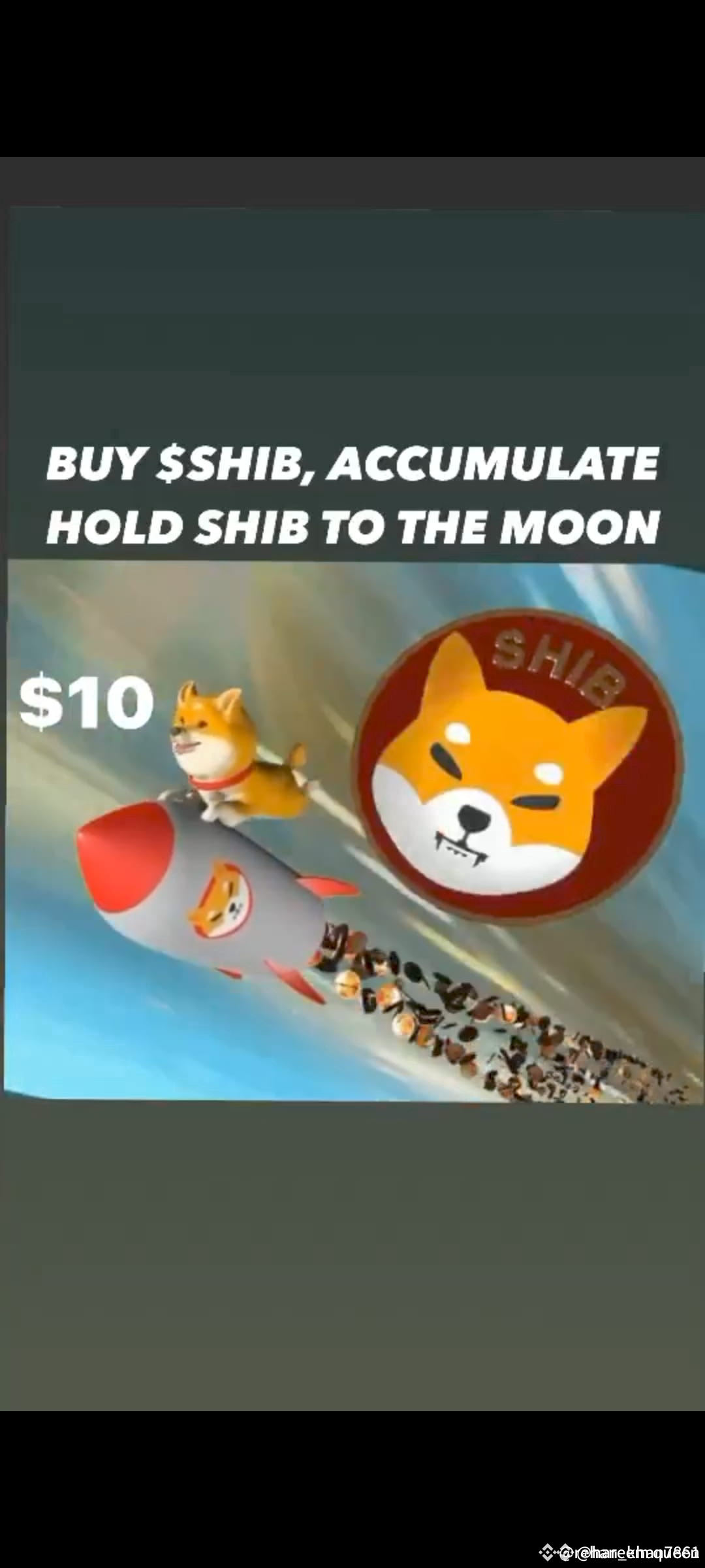 The Cycle Continues: $SHIB ’s Resurgence is Inevitable As t | hareem queen on Binance Square