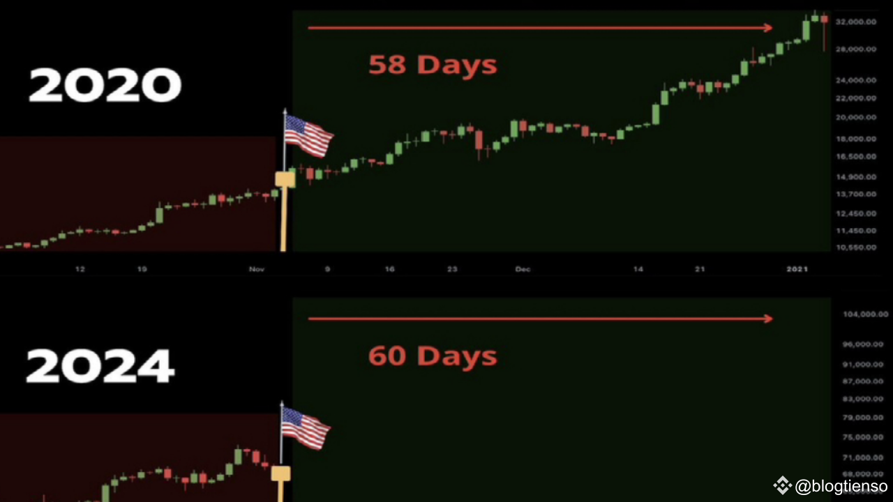 Detailed Analysis of BTC Growth Potential After the 2024 US Election ...