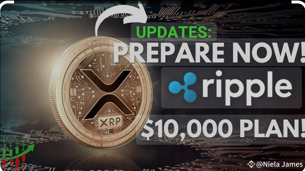 RLUSD at $1,200? Ripple CTO Explains the Sky-High Price David Schwartz, Ripple’s Chief ...