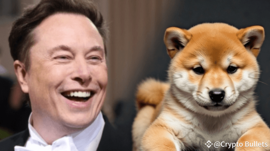 🚀 Elon Musk’s Tweet Sends $1MBABYDOGE Soaring! 🚀 | Crypto Bullets on ...