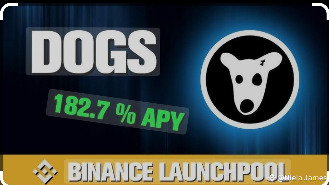 🐾 $DOGS Token Update – What's Next for This Volatile Meme Coin? The ...