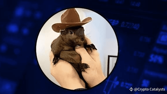 $PNUT (Squirrel Coin) Market Analysis and Future Prospects | Crypto Catalysts on Binance Square