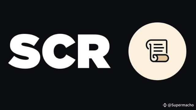 SCR Coin Price Prediction for 2025: Insights and Expectations 🚀 ...