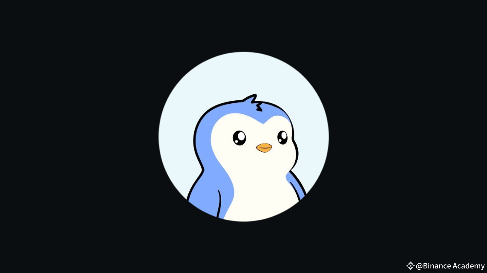 What Are Pudgy Penguins (PENGU)? | Binance Academy on Binance Square