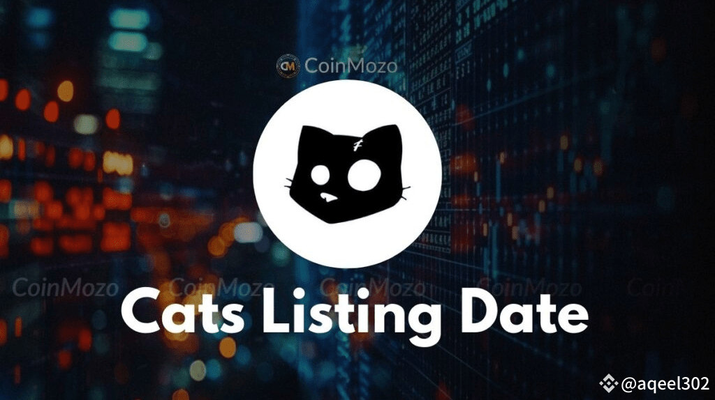 🚨🎗️CATS Token Explained: From Live Price to Calculating Your Potential ...