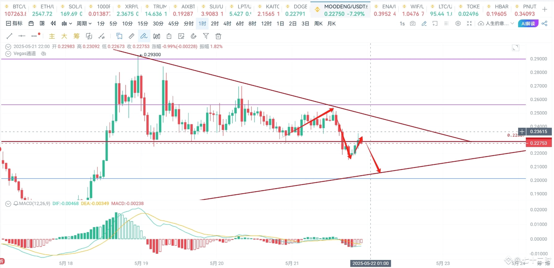 The wedge structure of #MOODENG has temporarily broken down | 七十二时 on ...