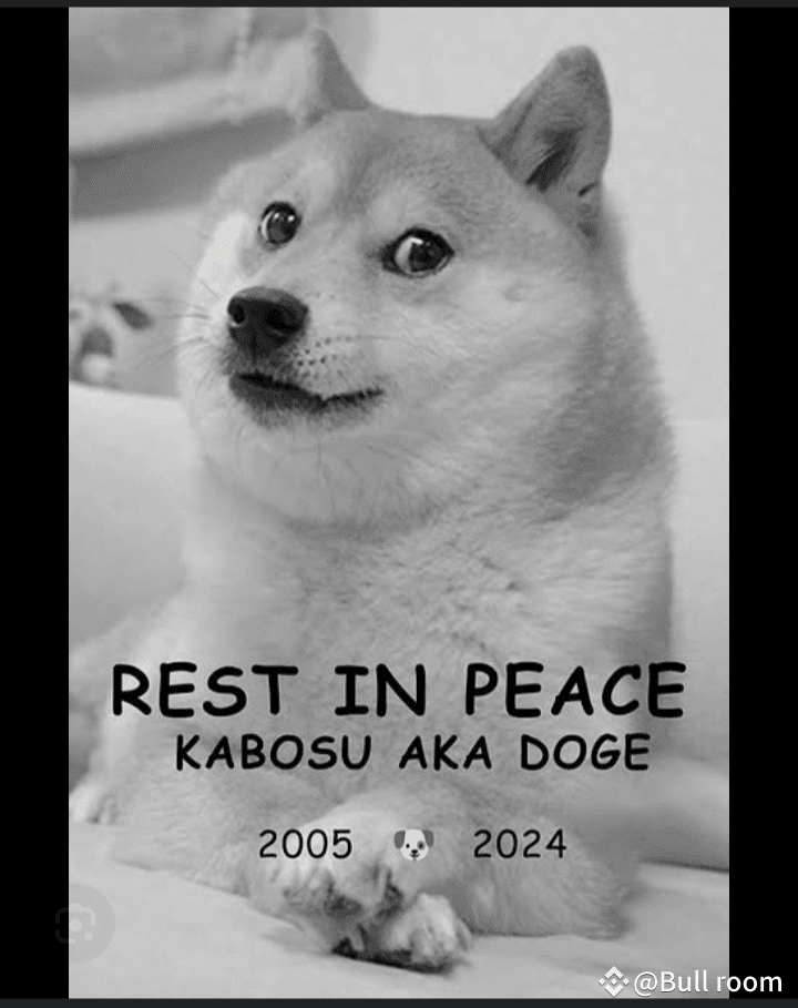 $DOGE Hello family 🚨🚨🚨🚨🚨🚨🚨Dogecoin (DOGE) is curren | Bull room on ...