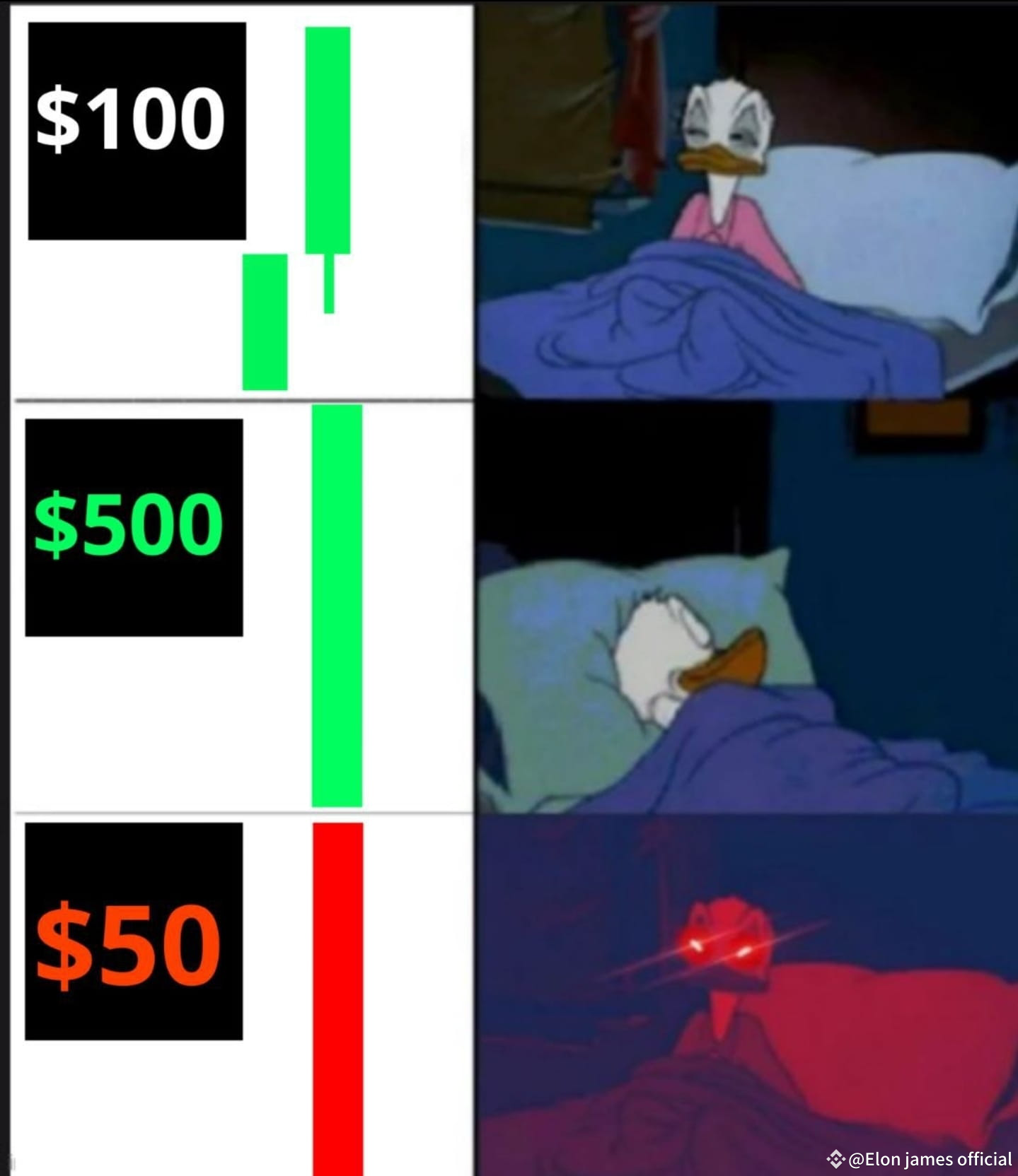 "Crypto never sleeps" | Elon james official on Binance Square