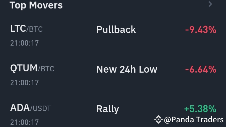 🚀 Binance Top Movers Update: What's Driving the Market? | Panda Traders on Binance Square