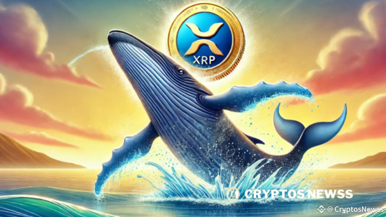 XRP Whale Wallets Hit Record High as Price Surges 10% in 24 Hours ...