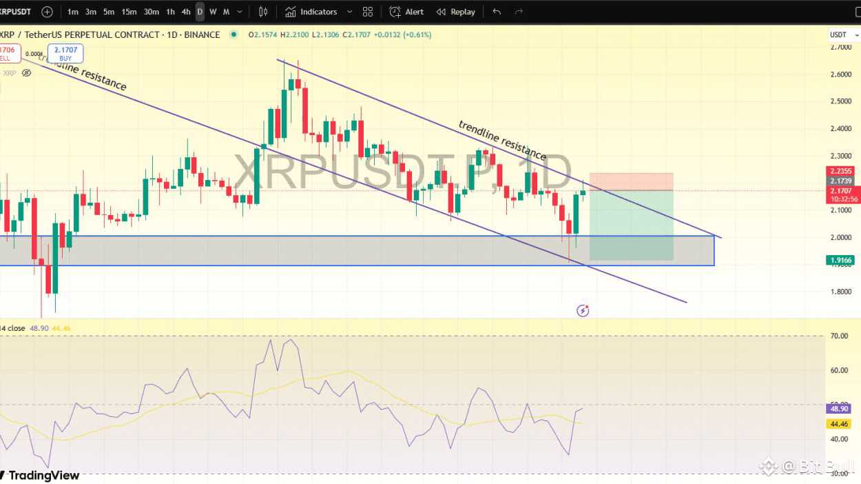 XRP UPDATE | Bit Bull on Binance Square