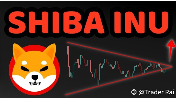 🐶Breaking News: Shiba Inu ($SHIB) Burns 60 Trillion Coins—The Dawn of a New Era? 🐕 | Trader Rai ...
