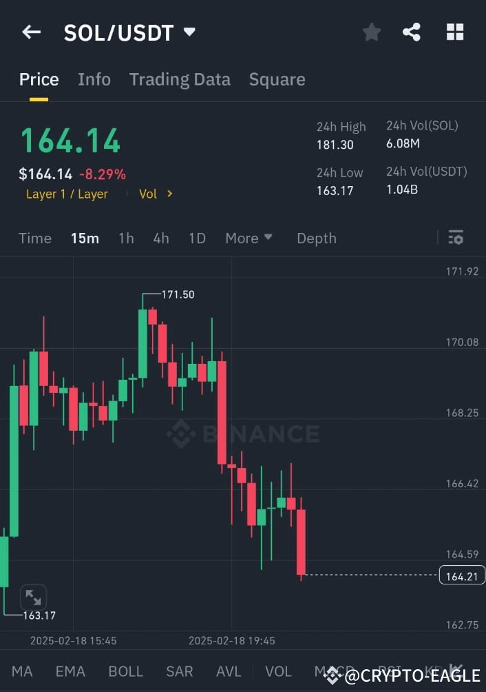 🚀 $SOL /USDT Pullback Opportunity! 📉 Is $164 the Bottom? O | CRYPTO-EAGLE on Binance Square
