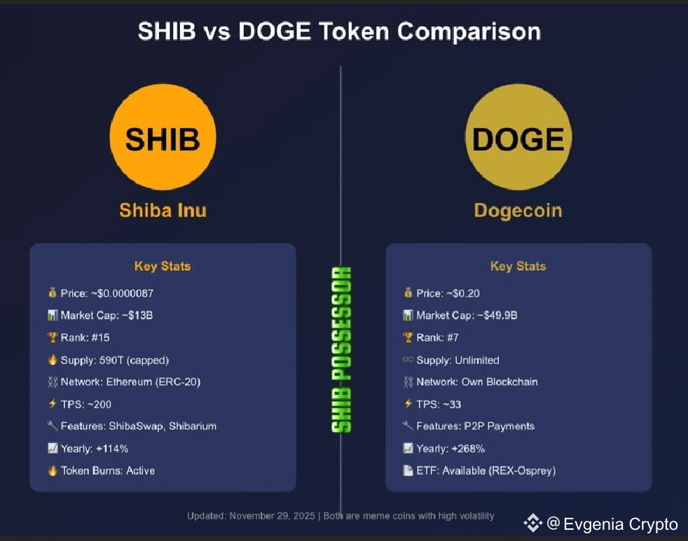 Shib •Market capitalization around 13 billion dollars, | Evgenia Crypto ...