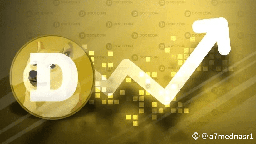 Dogecoin is back in the spotlight! 🚀 | AN CRYPTO on Binance Square