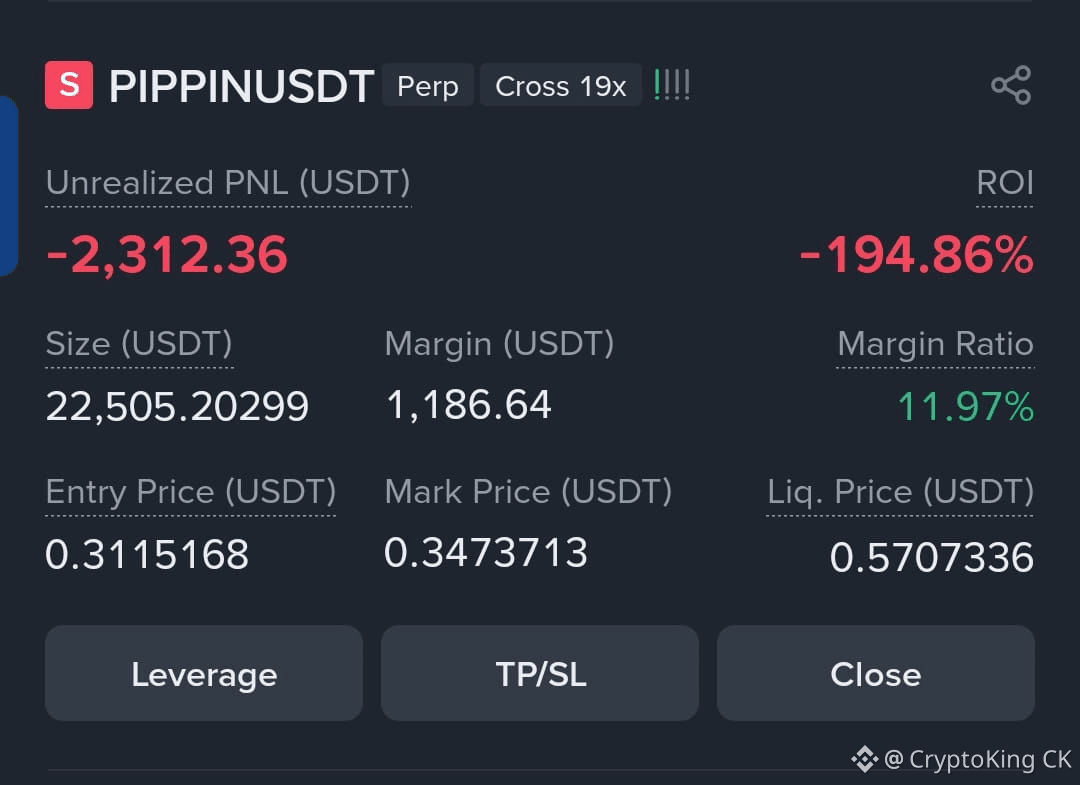 I lost your 1 years salay in 1 day🙂💔 $PIPPIN Short | CryptoKing CK on ...