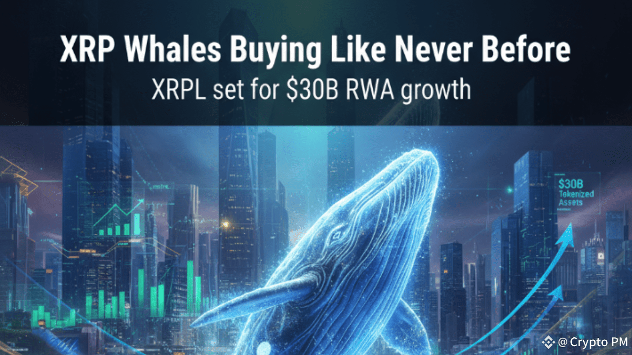 XRP Whales Buying Like Never Before as XRP Ledger Targets $30B RWA ...