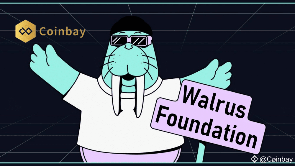 Walrus Foundation 'makes waves' with a $140 million funding | Coinbay ...