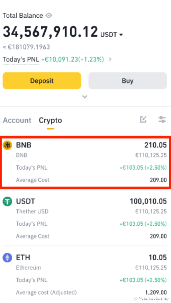 $BNB always gives profit Check my account balance that I ma | Morris ...