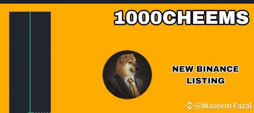 $1000CHEEMS #1000CHEEMS&TSTOnBinance 🚀🚀🚀🚀 | Waseem Fazal on Binance Square