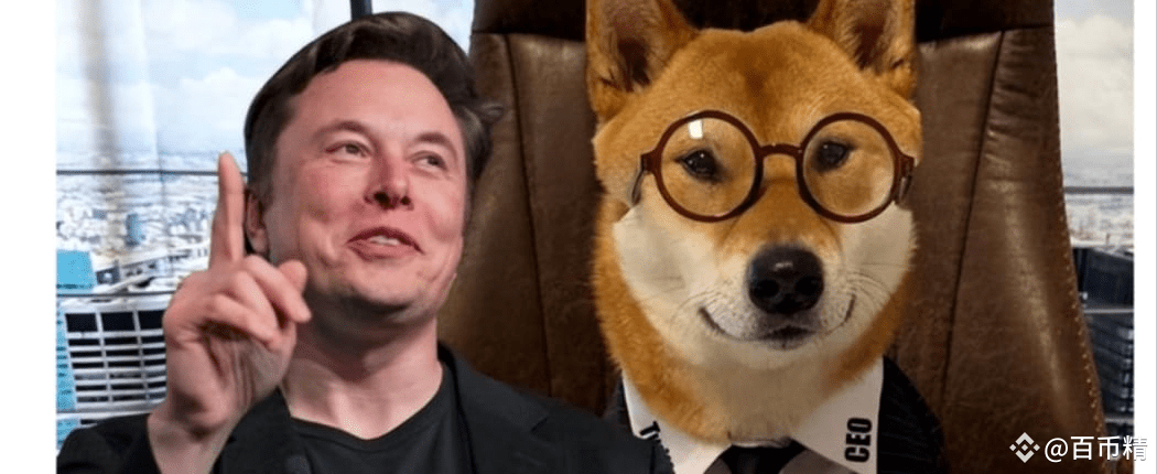 Family, the animal coin circle has been extremely lively rec | 百币精 on ...