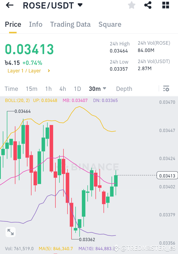 $ROSE 🚀 ROSE (Oasis Network) IS READY TO EXPLODE – DON’T MI ...