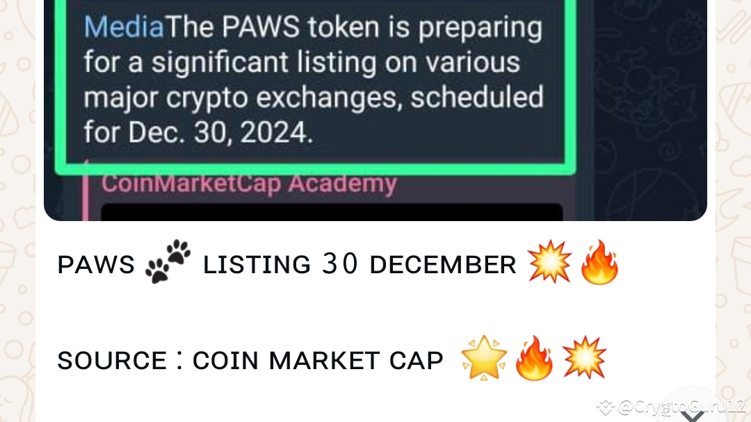 Major Announcement: $PAWS Token Listing Scheduled for December 30, 2024 ...