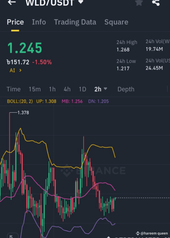🚀 WLD Token Update – A Golden Buying Opportunity! 🚀 The c | hareem queen on Binance Square