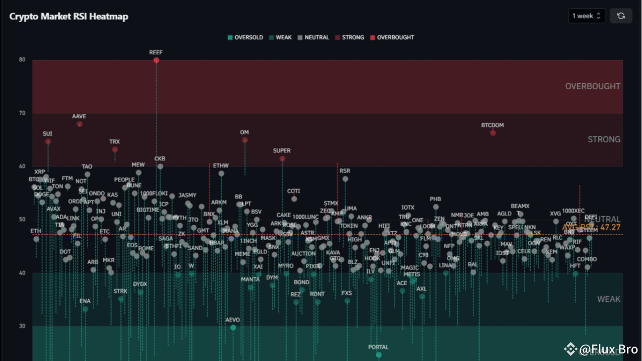 I bet you no one tell you like this :Crypto Market RSI Heatmap ...