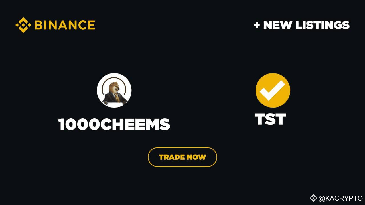 How did TST go from a “test coin” to a Binance listing?! | MrKA CRYPTO ...