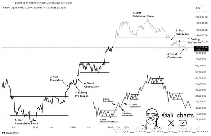 Ali Martinez predicts BTC price at 200,000.$ using the Wyck | _The_wolf ...