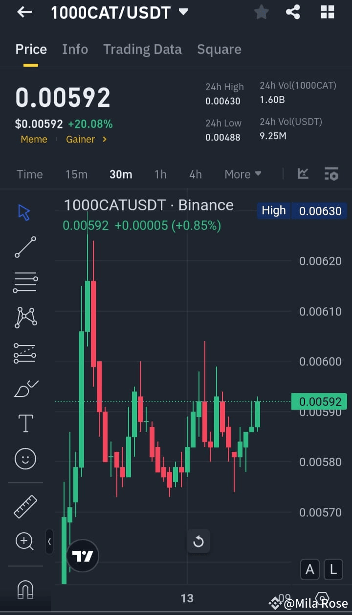 $1000CAT /USDT BULL MOVE IN PLAY 🔥🚀 Opportunity Move Sta | Mila Rose on Binance Square