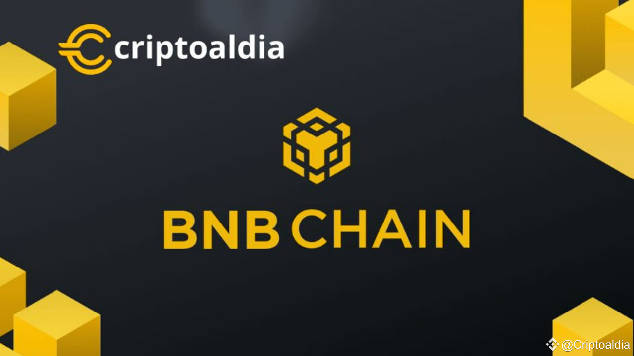 BNB Chain Drives Financial Innovation with a Revolutionary Cross-Chain Bridge for Stablecoins ...