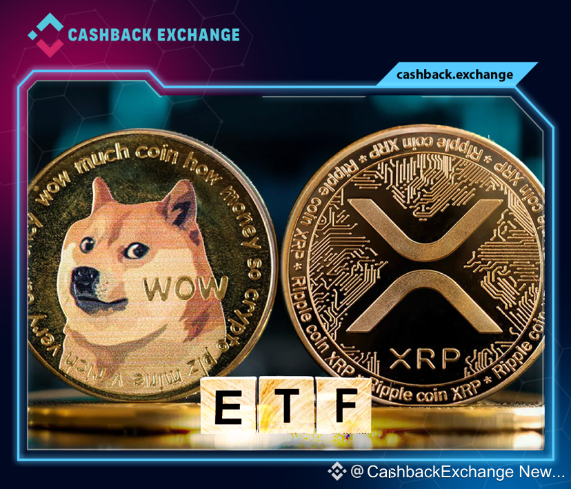 🚀 DOGE, XRP, SOL MAY HAVE HIT THE BOTTOM – INVESTORS STILL ...