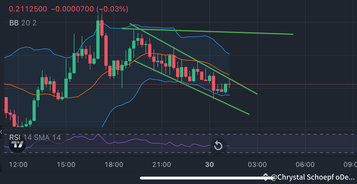 $MOODENG Good job kiddo! 🥰 | Chrystal Schoepf oDeG on Binance Square