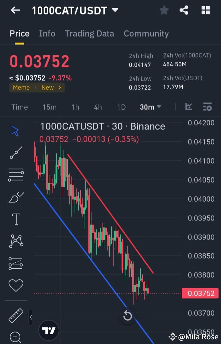 $1000CAT /USDT Steady Dip Move Alert opportunity to Buy 🔥 | Mila Rose on Binance Square