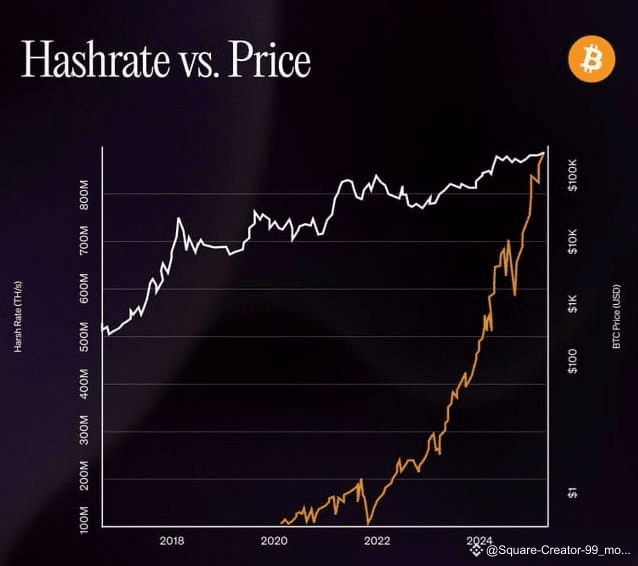 🚀 BTC hash rate continues to rise - what does it mean?#BTCS | mohamed ...